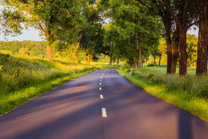 Spectacular Sunset on the Empty Forest Road Stock Image - Image of ...