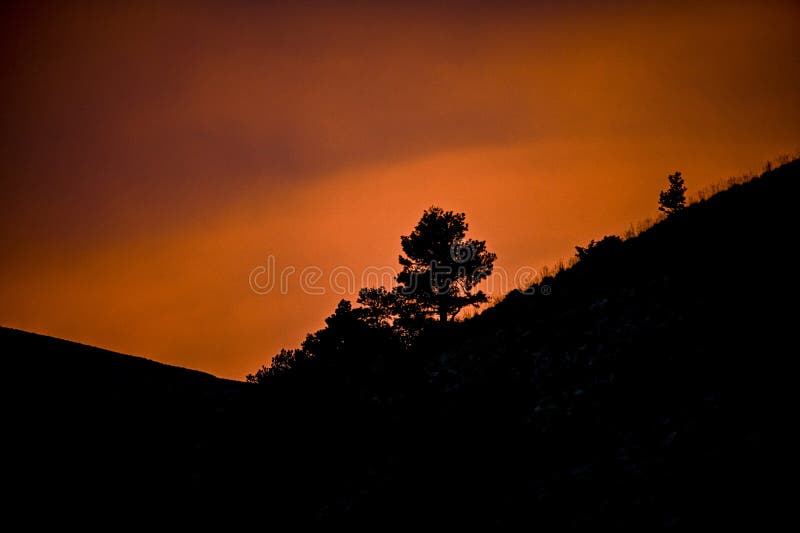 Spectacular Sunset, on the Horizon with an Isolated Tree. Stock Photo ...
