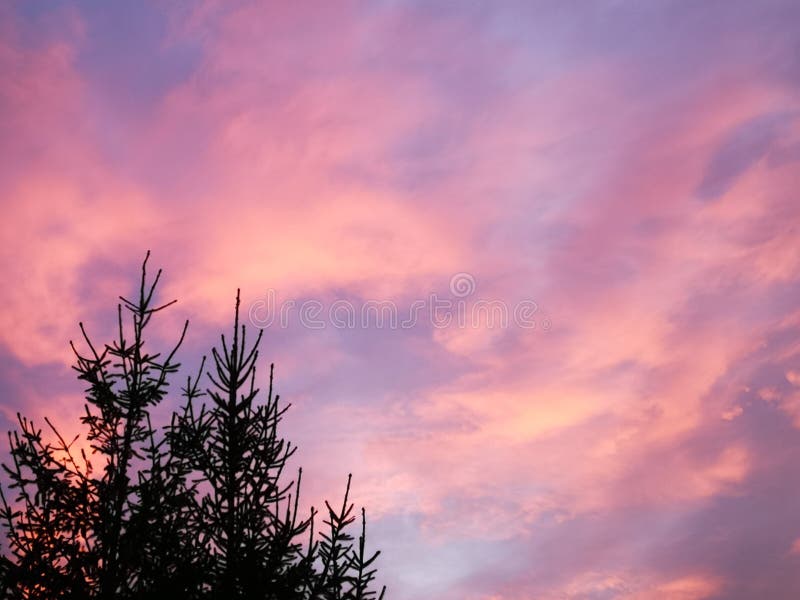 Spectacular sunset stock photo. Image of sunset, purple - 169421526