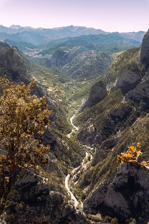 Hermid Stock Photos - Free & Royalty-Free Stock Photos from Dreamstime