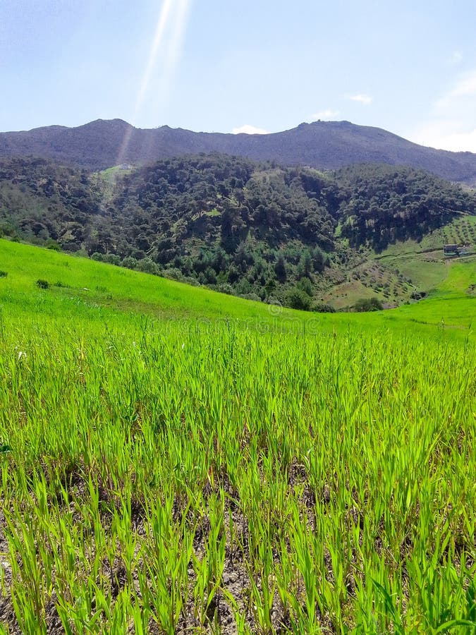 Spectacular Views of Mountain Scenery Stock Image - Image of personable ...