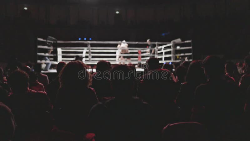 Spectators Watch a Muay Thai Boxing Match Stock Video - Video of ...