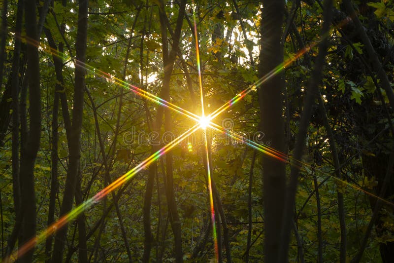 Spectra of the setting sun stock image. Image of sunlight - 345479559