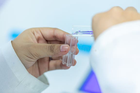 Spectrophotometer for Lab Experiments. Stock Photo - Image of close ...