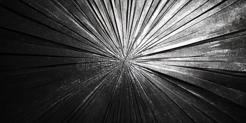 Spectrum of Shards: a Black and White Abstract Art. Stock Image - Image ...