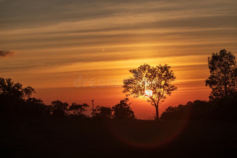 The Spectrum of Sunset and Silhouette Background on Trees Stock Photo ...