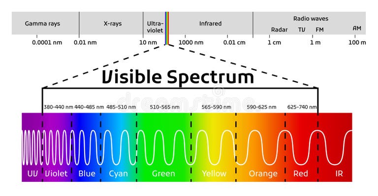 Visible Light Spectrum Wavelength Stock Illustrations – 256 Visible ... Visible Light Spectrum Wavelength Stock Illustrations – 256 Visible ...
