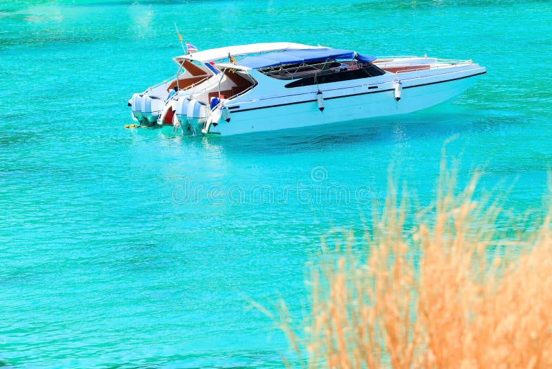 Speed boat on sea. stock photo. Image of adventure, aerial - 111364232