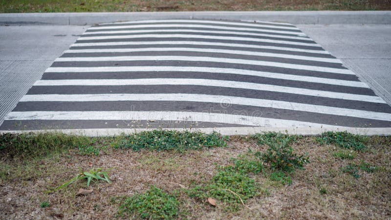 Sleeping Pollicis Stock Photos - Free & Royalty-Free Stock Photos from ...