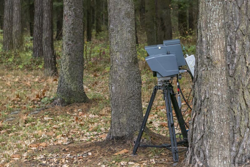Speed Camera is Standing in the Forest. Shallow Depth of Field Stock ...