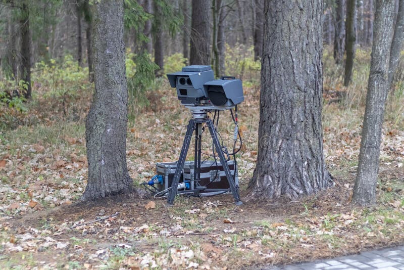 Speed Camera is Standing in the Forest. Shallow Depth of Field Stock ...