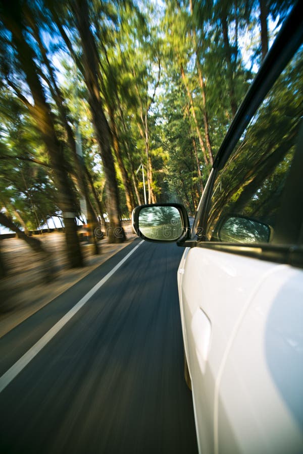 Speed car driving stock image. Image of driver, trees - 51173501