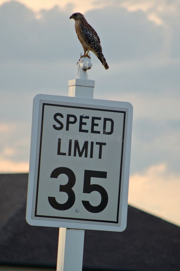 Speed Limit stock photo. Image of limit, sunset, clouds - 172924
