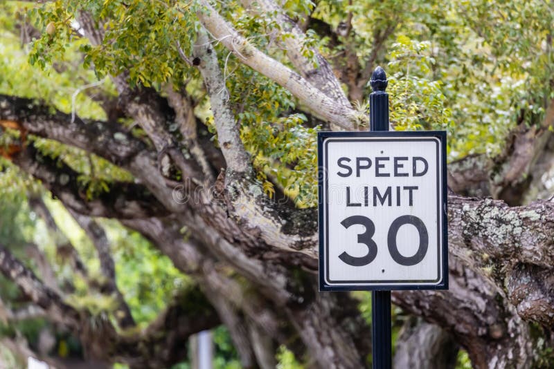 Speed Limit 30 MPH Sign stock photo. Image of signage - 255022442