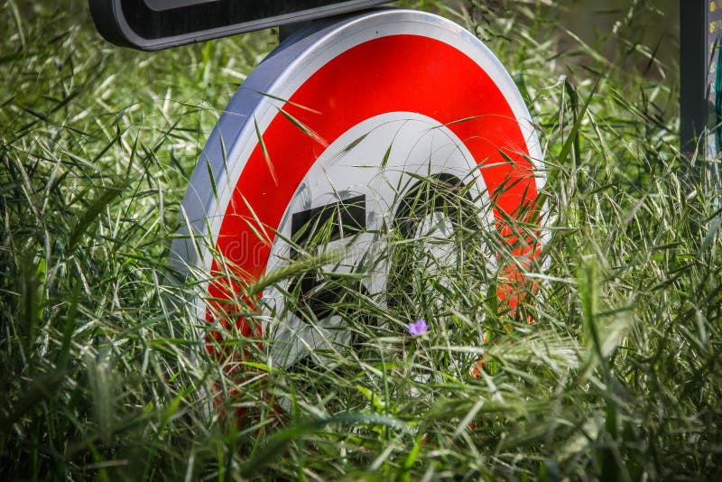 A Sign is Hidden Behind a Bush Stock Photo - Image of yellow, word ...