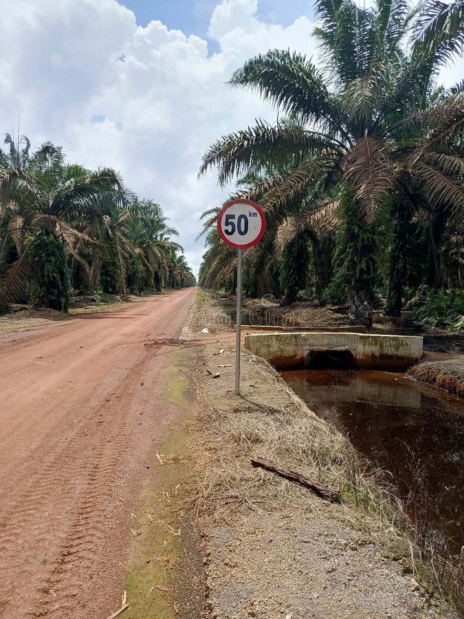 Speed Limit Sign 50 Per Kilometer Stock Photo - Image of leaf, speed ...
