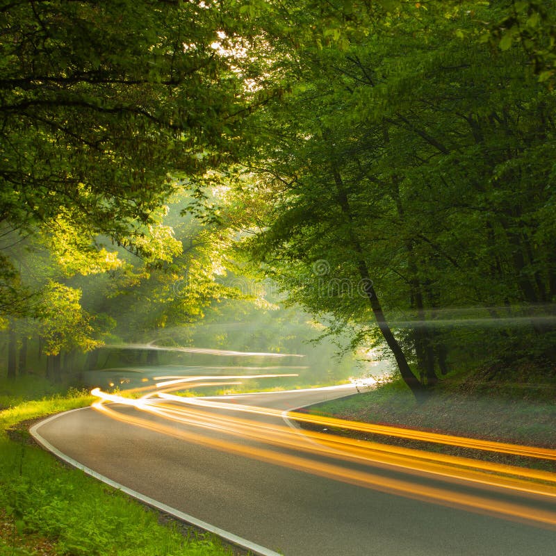 Speed - Morning on the Road in Forest Stock Image - Image of road ...