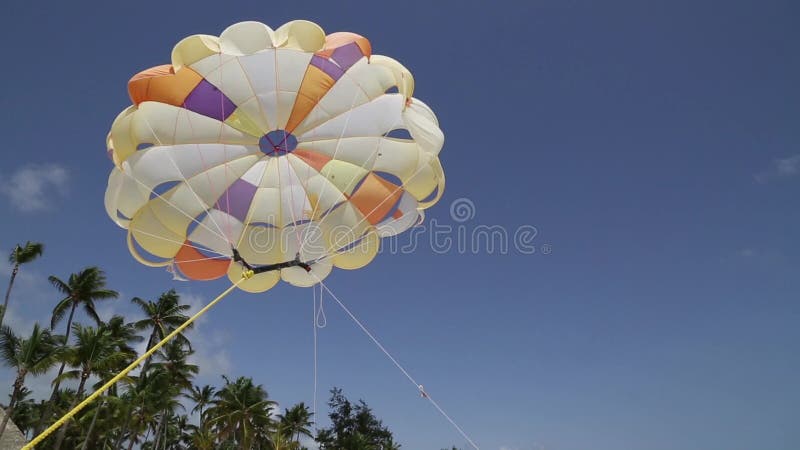 Speedboat Gliding Across Calm Blue Sea on a Sunny Day Stock Footage ...