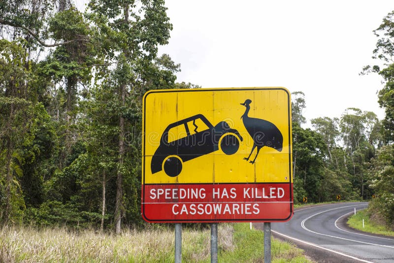 Speed Killes Cassowaries Sign, Traffic Warning Sign Speeding Has Killed ...