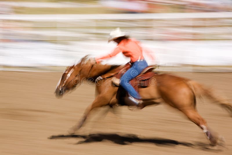 Running Horse stock photo. Image of equine, rodeo, prairie - 3370106
