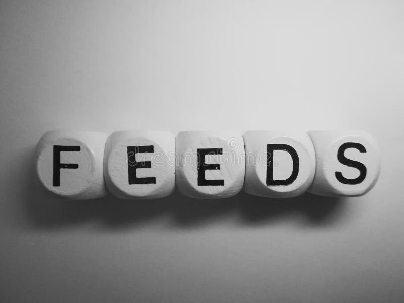 Word feeds spelled on dice stock photo. Image of hire - 123025180