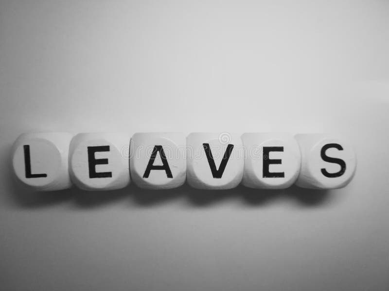 Word Leaves Spelled on Dice Stock Photo - Image of leaves, sign: 123025056