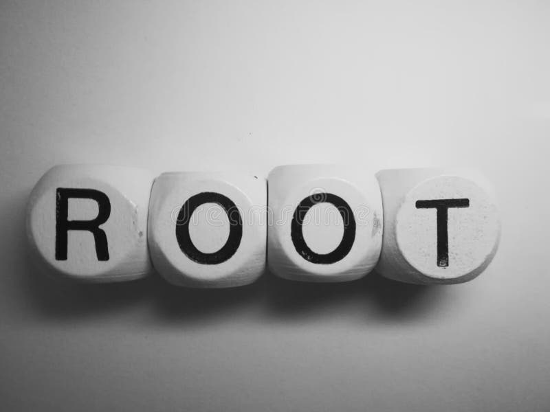 Word root spelled on dice stock image. Image of theme - 123024957