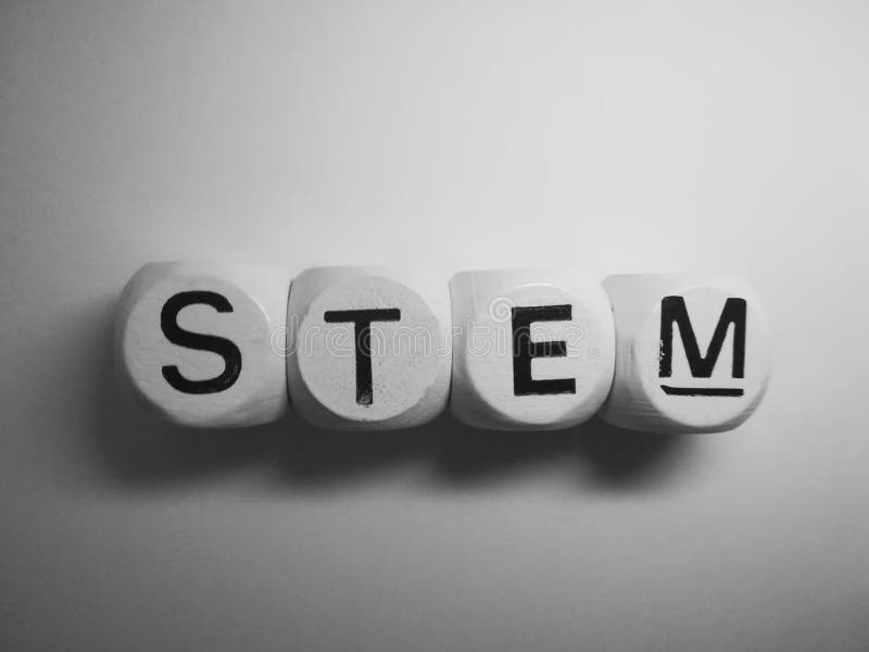 Stem Word Typography Design Stock Photos - Free & Royalty-Free Stock ...