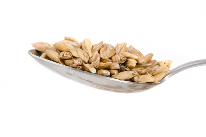 Spelt Pasta Dish stock photo. Image of courgette, food - 1367096