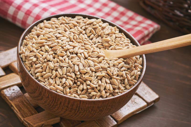 Spelt grain dinkel wheat stock photo. Image of protein - 81086552