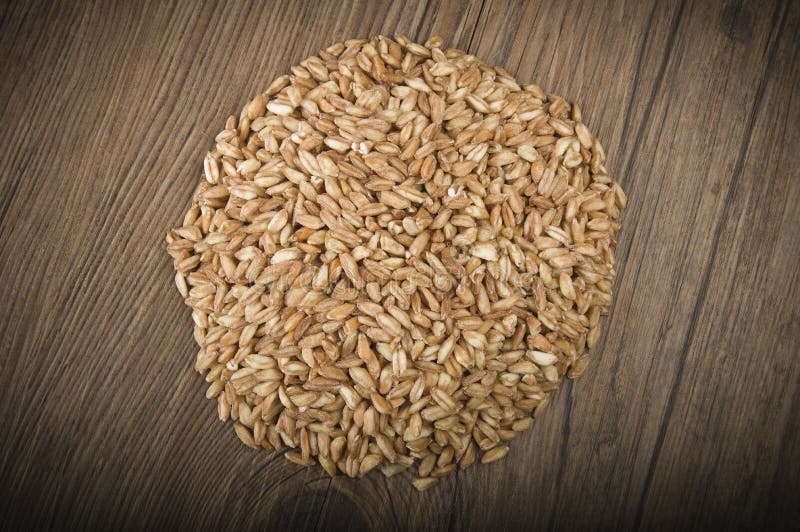 Spelt Grain stock image. Image of organic, close, table - 59609853