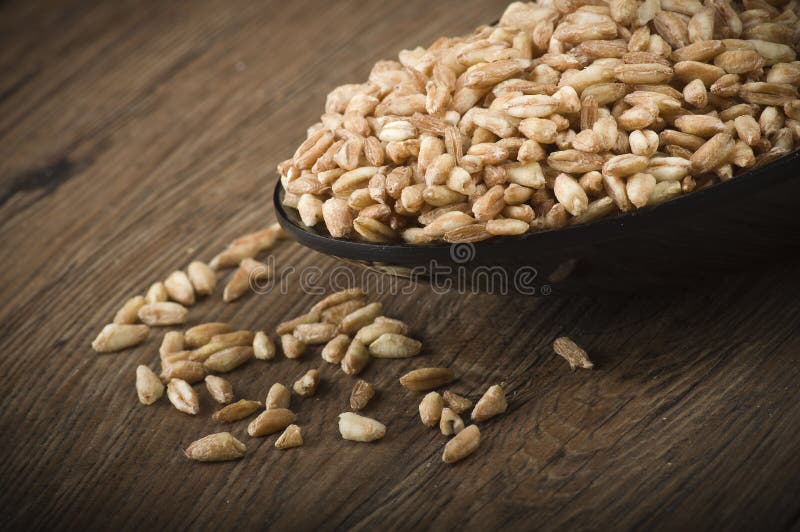 Spelt Grain stock photo. Image of organic, pile, brown - 59610616
