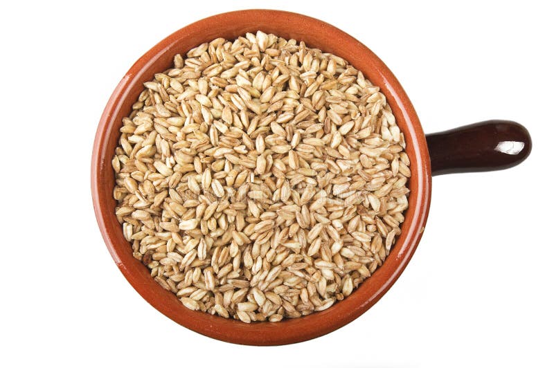 Spelt Grain stock image. Image of cereal, corn, dried - 59610667
