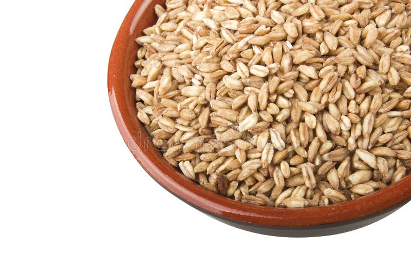 Spelt Grain stock image. Image of horizontal, ingredients - 67230019