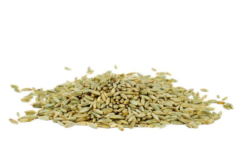 Spelt Grains Isolated on White Stock Photo - Image of gluten, green ...