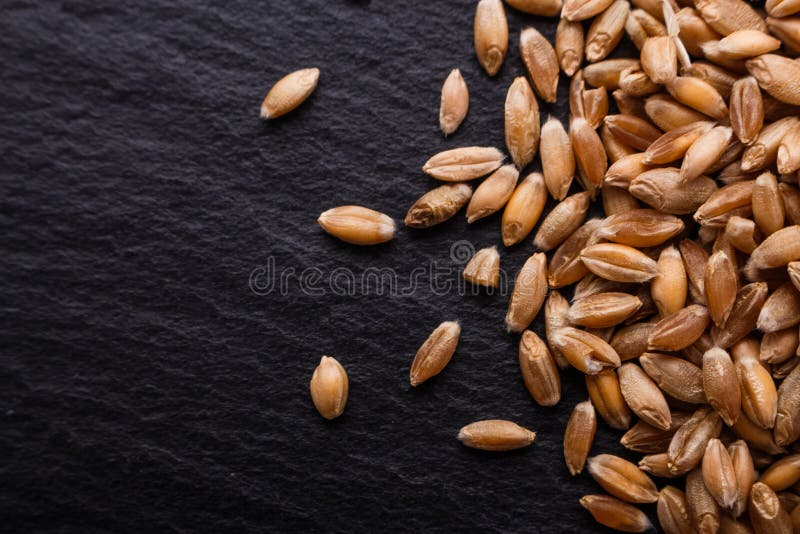 Spelt Seeds on a Dark Stone Background Stock Image - Image of grain ...