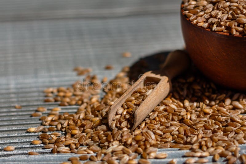 Spelt Seeds on a Wooden Rustic Background Stock Photo - Image of spelta ...