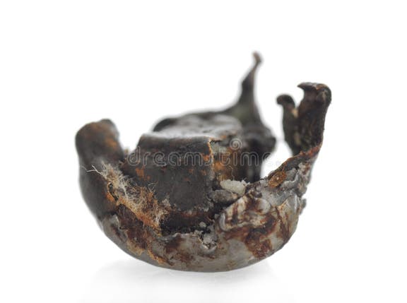 Spent bullet stock image. Image of 3006, squashed, used - 26209295