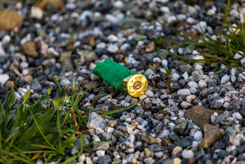 A Spent Shotgun Shell stock image. Image of spent, green - 184643255