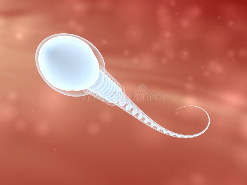 3d Illustration of a Sperm or Male Gamete Stock Illustration ...
