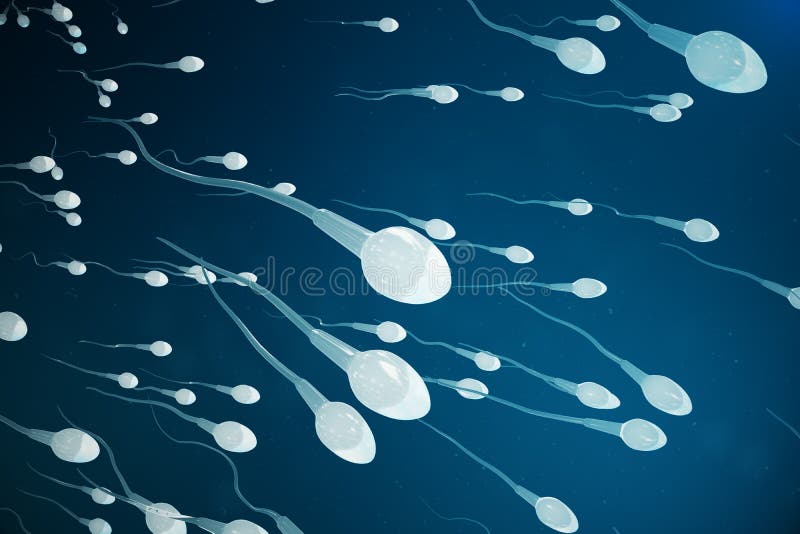 Sperm Approaching Egg Cell, Ovum. Natural Fertilization - Close-up View ...
