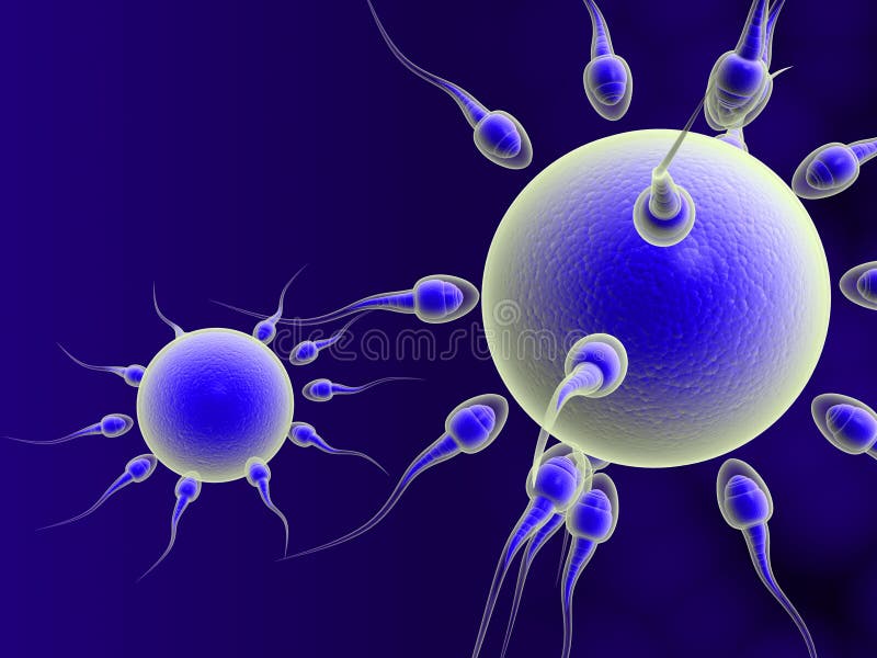 Sperm Attack 5 stock illustration. Illustration of baby - 521614