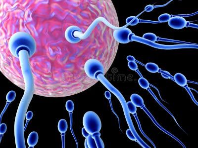 Sperm Attack 2 stock illustration. Illustration of birth - 521611