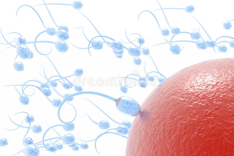 Sperm Attack 2 stock illustration. Illustration of birth - 521611