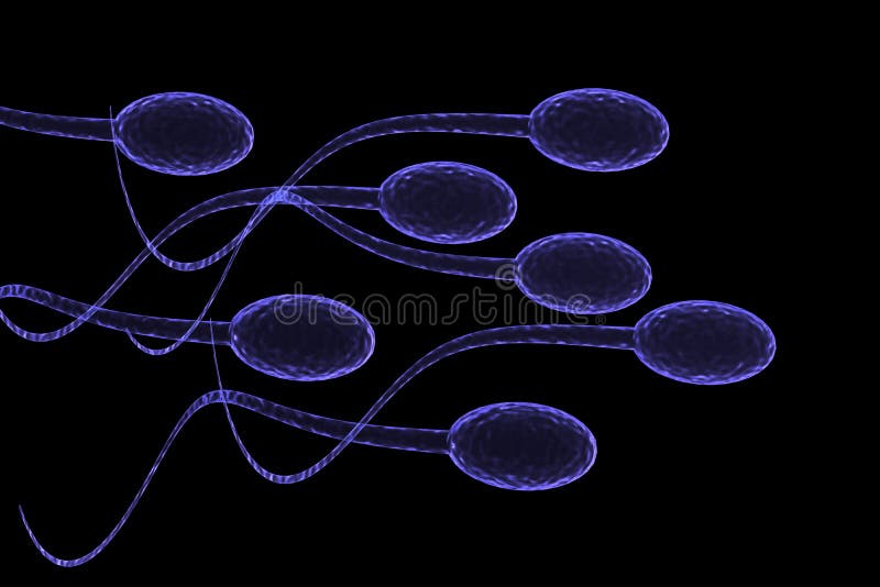 Sperm Attack 2 stock illustration. Illustration of birth - 521611