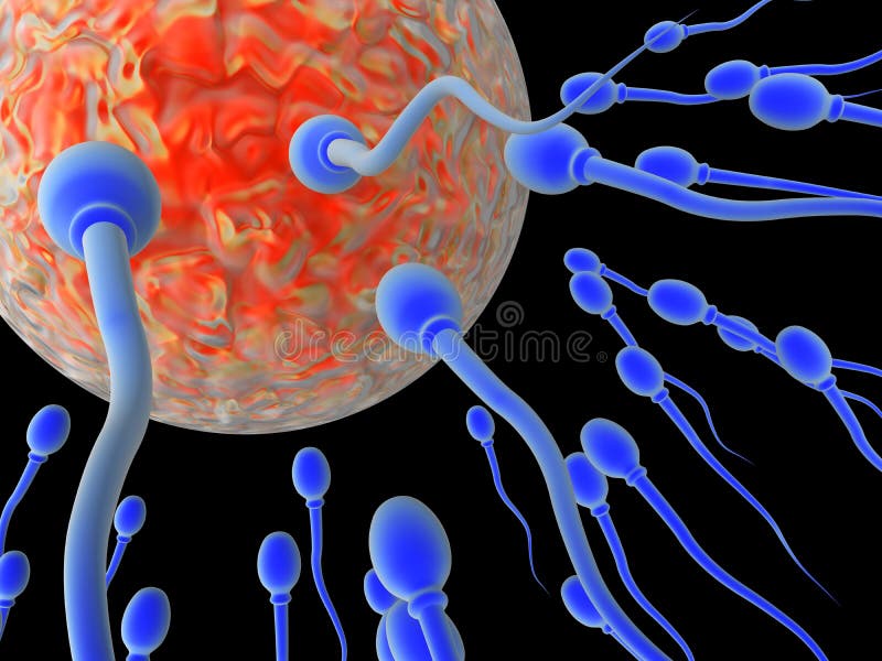 Sperm Attack stock illustration. Illustration of competition - 72745384