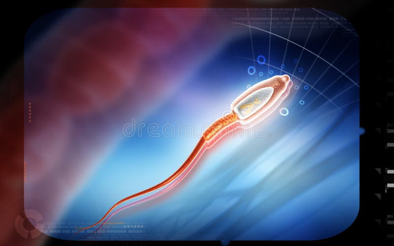 Pink Sperm Stock Illustrations – 459 Pink Sperm Stock Illustrations ...