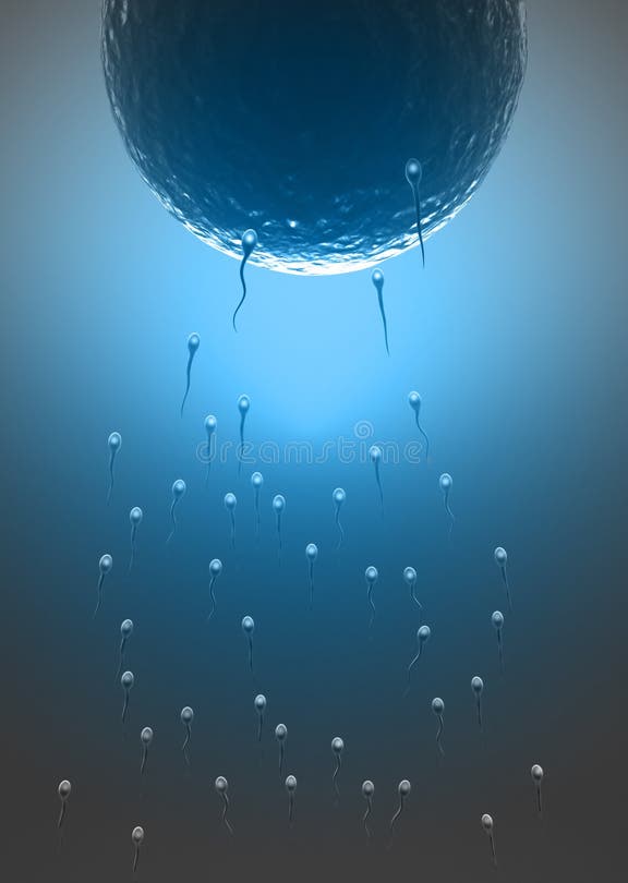 Sperm Approaching Egg Cell Stock Illustrations – 126 Sperm Approaching ...
