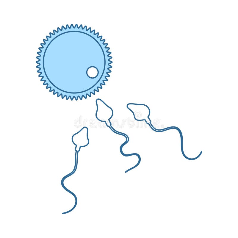Sperm And Egg Cell Icon Stock Vector Illustration Of Penetration