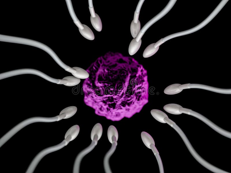 Sperm And Egg Cell Microscopic View 3d Stock Illustration